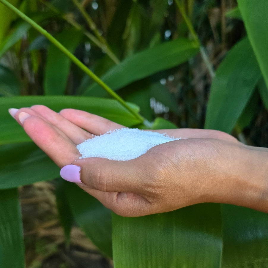 Bring Calm & Beauty to Your Home – Elysius